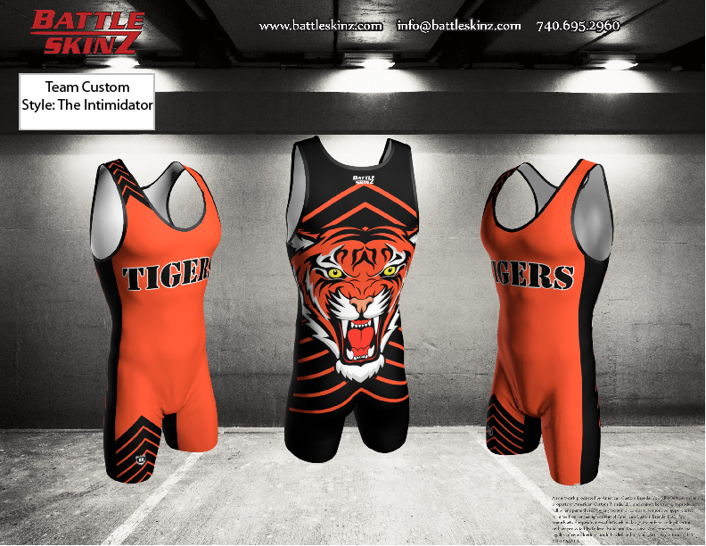 TEAM CUSTOM INFO - Battleskinz